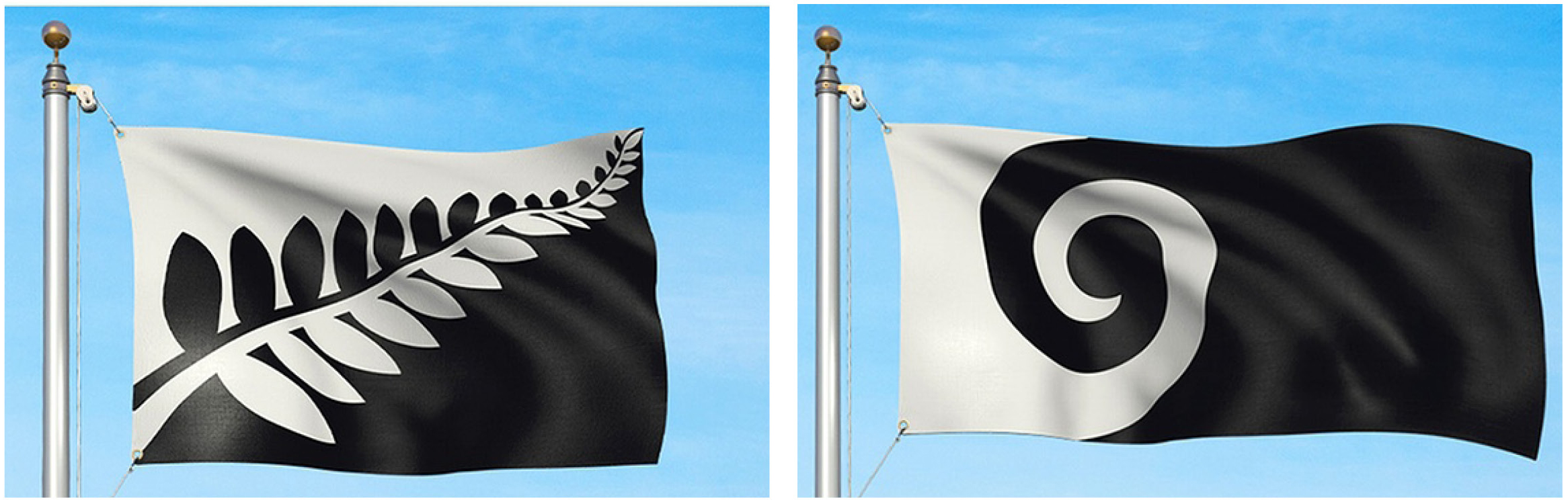 The Incredible Crowd-Sourced New Zealand Flag Contest