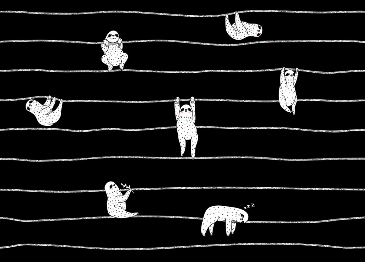 How to Spend Memorial Day Weekend: A Sloth's Guide