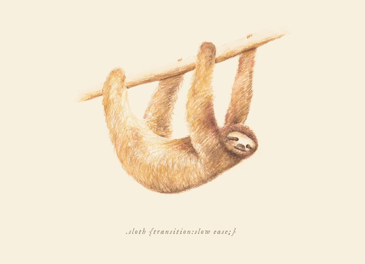 How to Spend Memorial Day Weekend: A Sloth's Guide