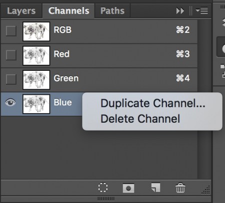 How to Turn an Image into a PNG & Remove the Background