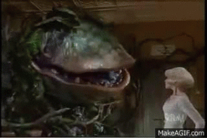 Audrey II: The Evolution of the Little Shop of Horrors Plant