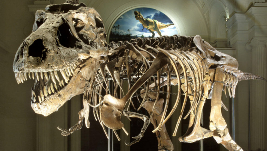 You Have to Follow "SUE the T-Rex" on Twitter (Seriously)