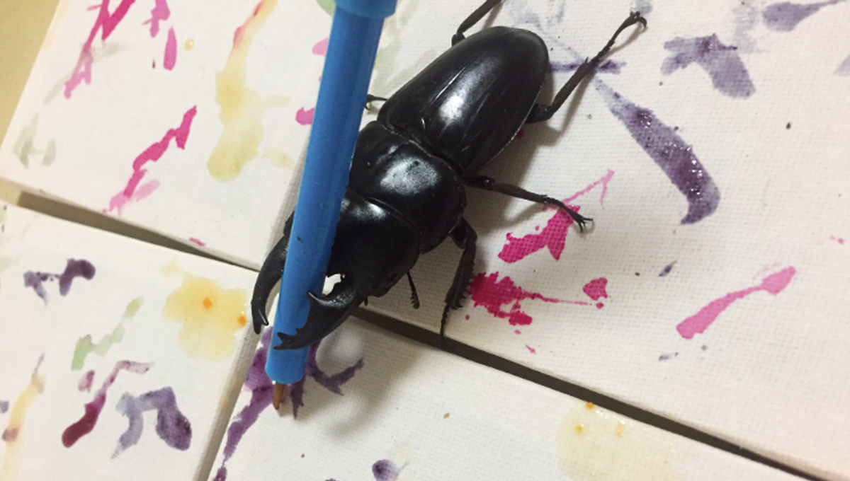 Meet Spike, the Painting Beetle