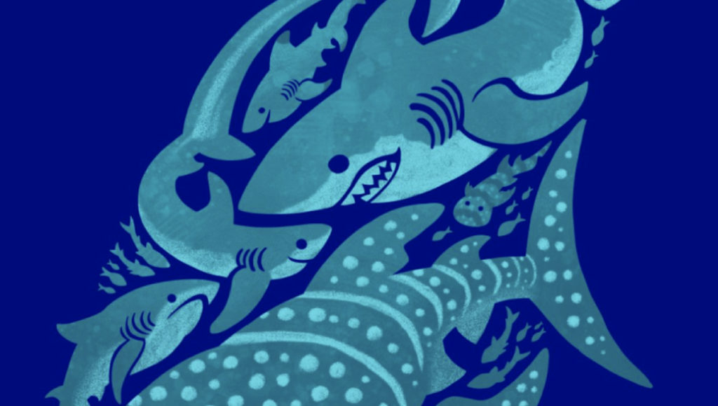 This Shark Week, Keep Sharks Swimming!